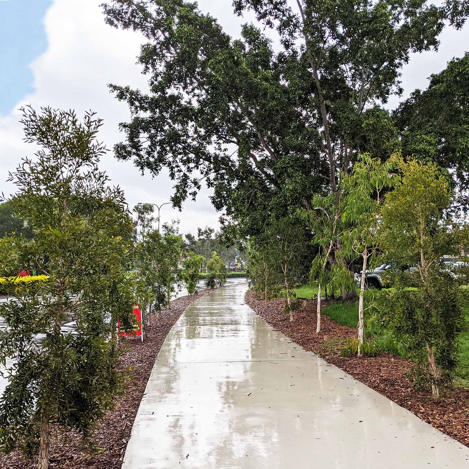 Springfield Bikeway Upgrade • Orterra